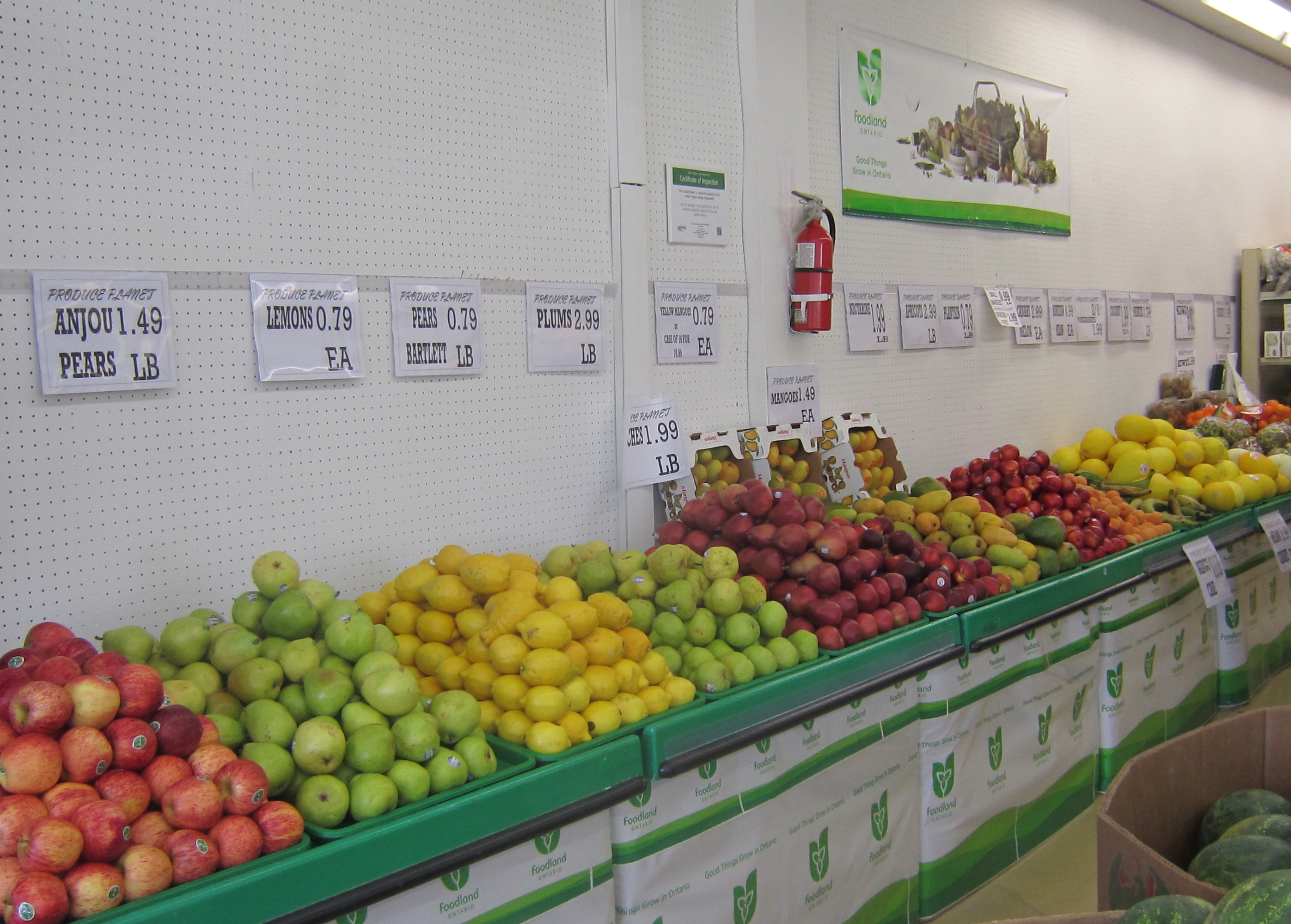 Produce Planet wall of fruit « Burlington Gazette - Local News ...